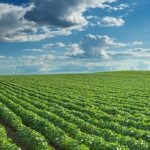 Nufarm announces 2025 Full Year Results - Nufarm
