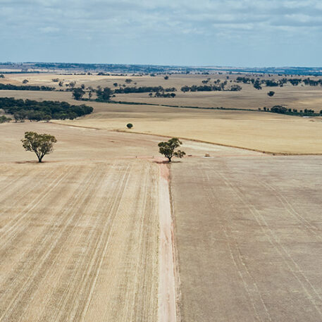 Nufarm announces a new joint development agreement with bp on biomass ...