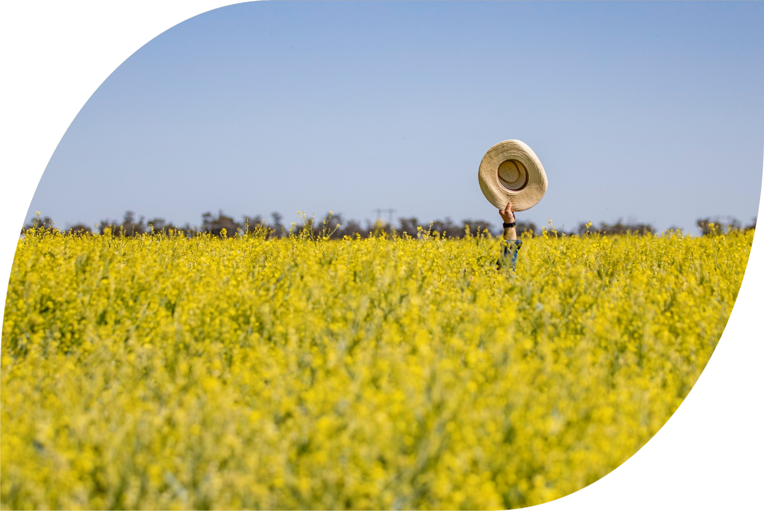 Nufarm