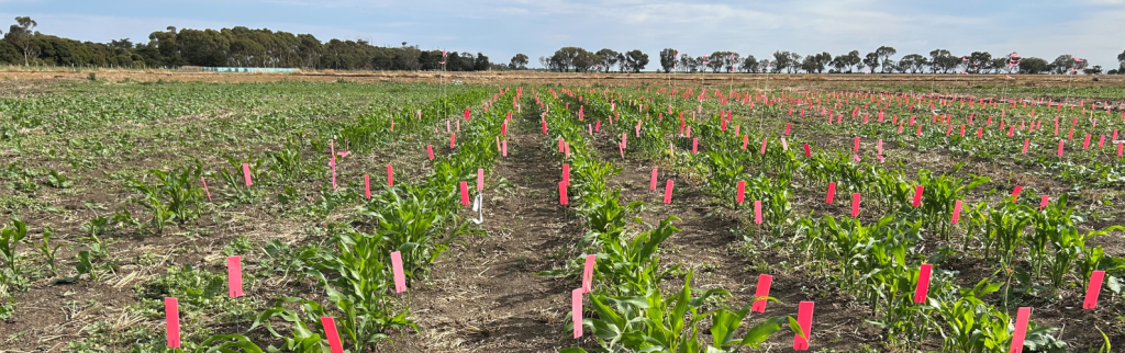 Nufarm and Moa announce next phase for their novel mode of action ...