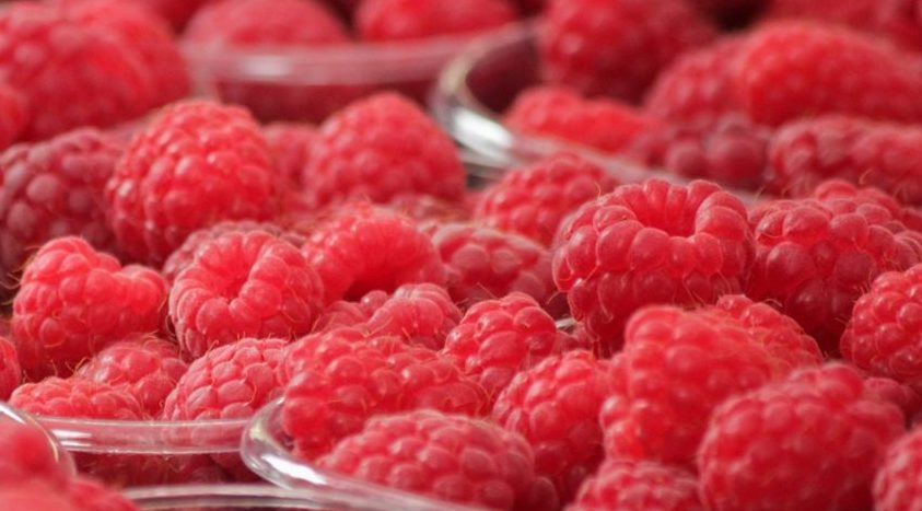 Nufarm Canada West | Horticulture | Crop Protection