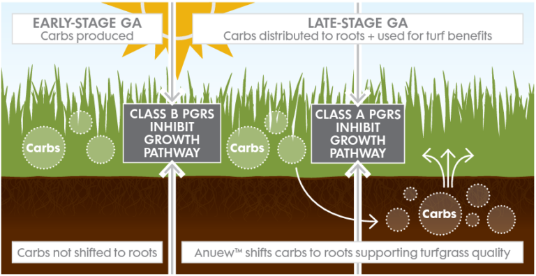 Anuew | Nufarm Canada