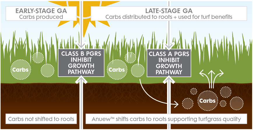 Anuew | Nufarm Canada