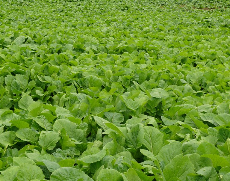 Our Products - Nufarm New Zealand