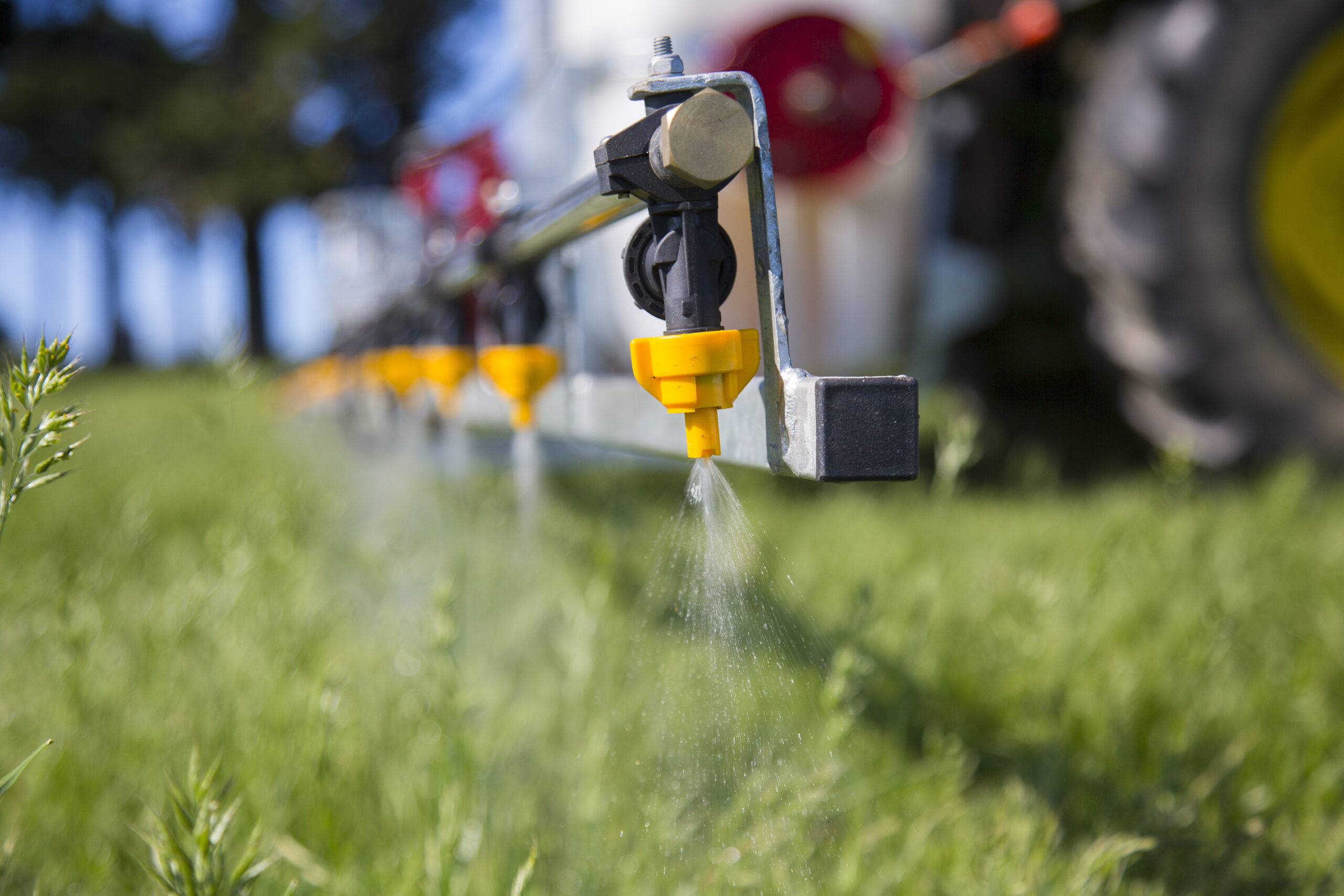 Optimising New Pasture Herbicide Use for Successful Pasture Renewal ...