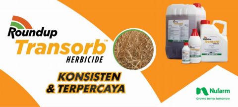 Roundup Transorb, Tuntas Kendalikan Gulma Di Lahan Berair - Nufarm ...