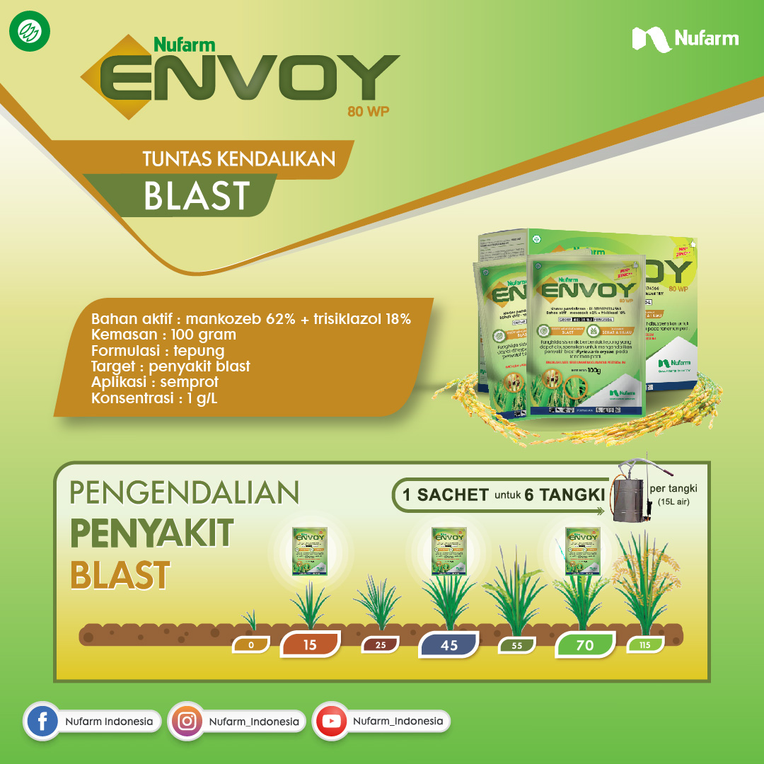 PENYAKIT BLAST DI TANAMAN PADI - Nufarm Indonesia