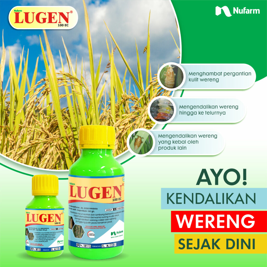 PENGENDALIAN HAMA WERENG PADA TANAMAN PADI - Nufarm Indonesia