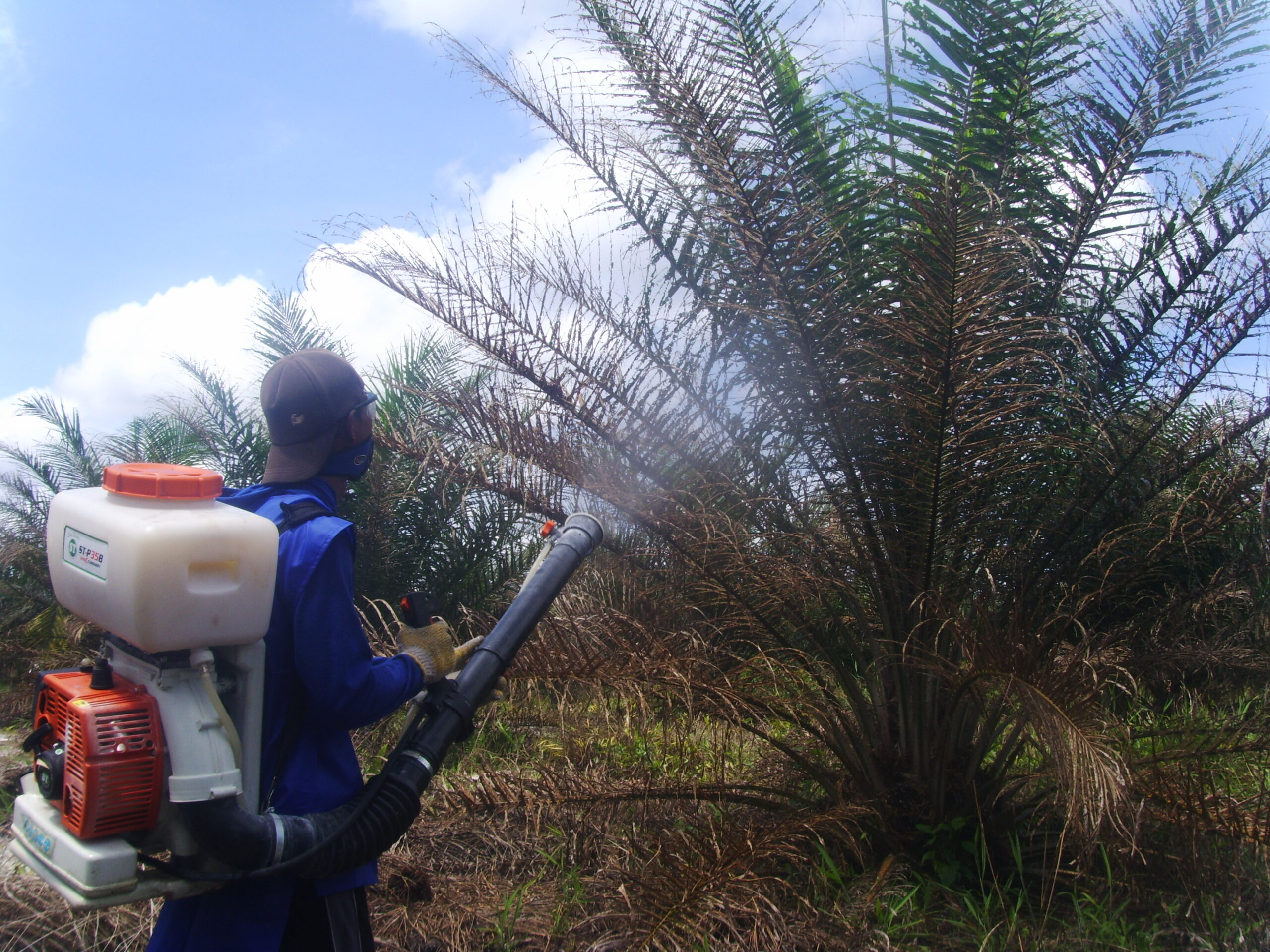 APLIKASI INSEKTISIDA BIOLOGI DIPEL SC METODE THERMAL FOGGING - Nufarm ...