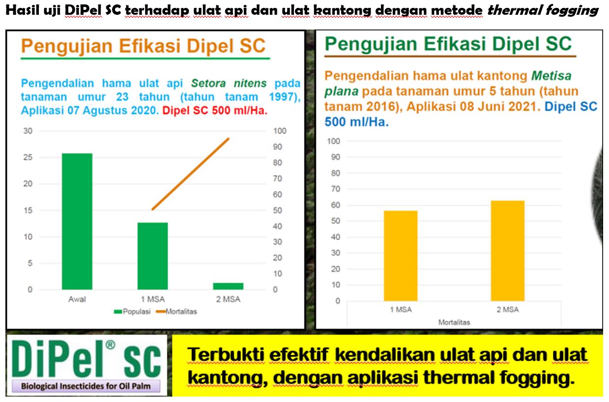 APLIKASI INSEKTISIDA BIOLOGI DIPEL SC METODE THERMAL FOGGING - Nufarm ...