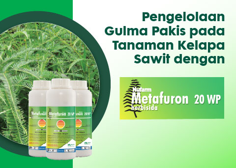 Herbisida Pengendali Pakis -Pakisan - Nufarm Indonesia