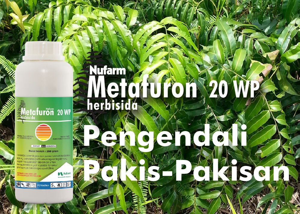 Herbisida Pengendali Pakis -Pakisan - Nufarm Indonesia
