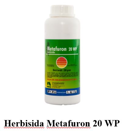 Herbisida Pengendali Pakis -Pakisan - Nufarm Indonesia