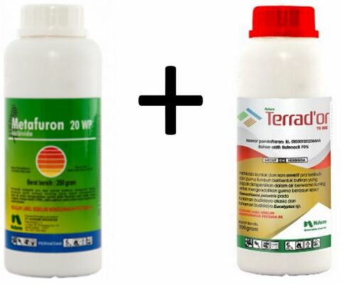 Herbisida Pengendali Pakis -Pakisan - Nufarm Indonesia