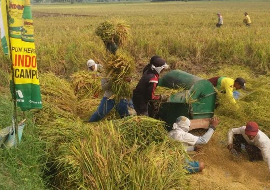UPAYA MENINGKATKAN PRODUKSI GABAH - Nufarm Indonesia