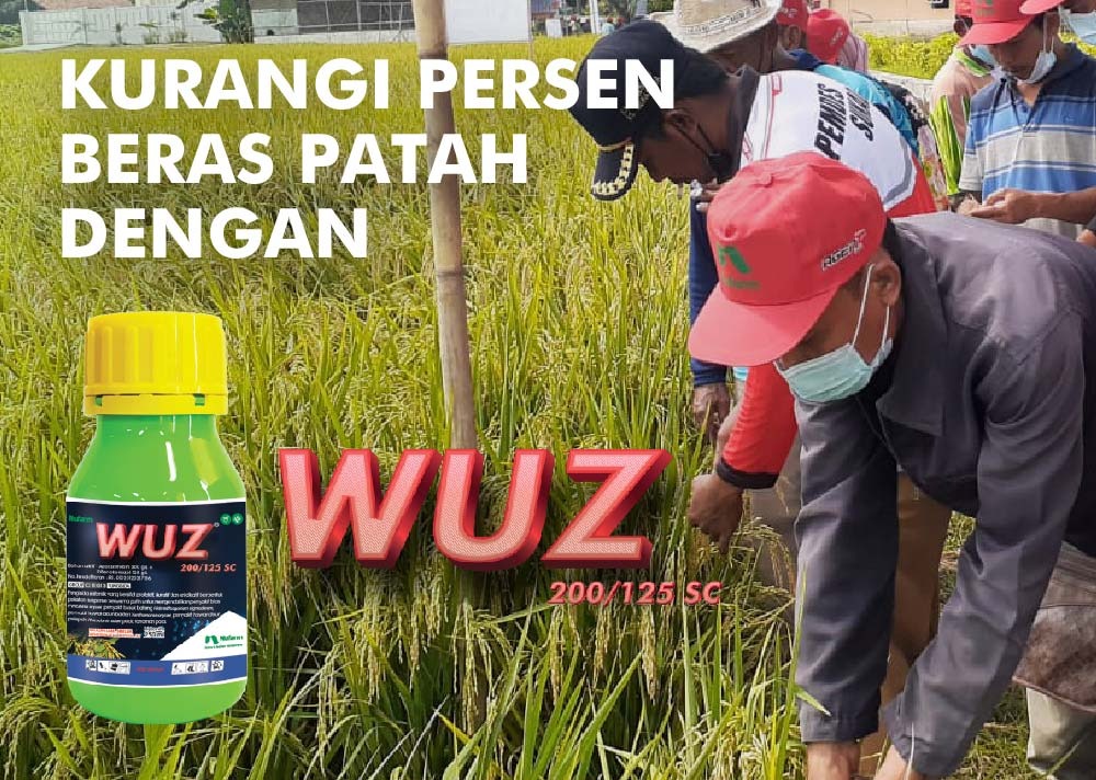 Kurangi Persen Beras Patah Dengan Fungisida Wuz 200/125 SC - Nufarm Indonesia