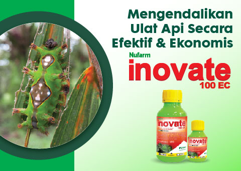 Cukup Inovate 100 EC Mengendalikan Ulat Api Secara Efektif dan Ekonomis ...