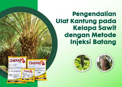 Pengendalian Hama Ulat Kantung Pada Tanaman Kelapa Sawit dengan Metode ...