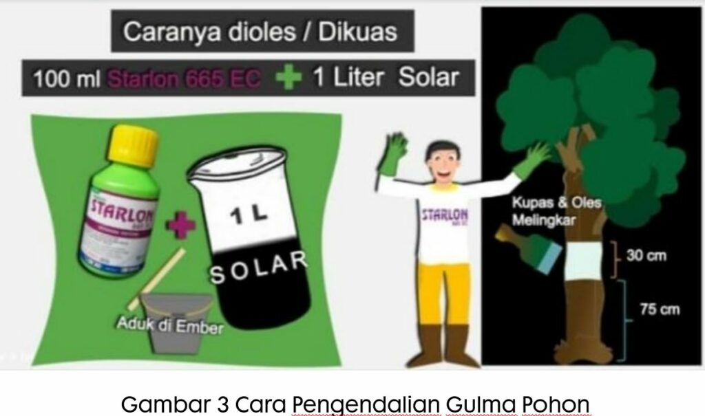 Herbisida Spesialis Pengendalian Gulma Berkayu - Nufarm Indonesia