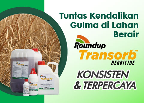Roundup Transorb, Tuntas Kendalikan Gulma Di Lahan Berair - Nufarm ...