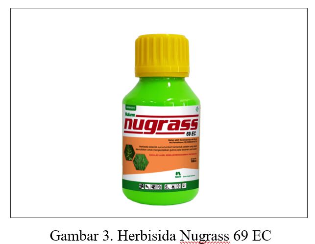 Kendalikan Gulma Jajagoan (Echinocloa crusgalli) - Nufarm Indonesia