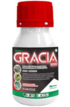 Insektisida Paling Ampuh Mengendalikan Ulat Grayak, Thrips, & Penggorok ...