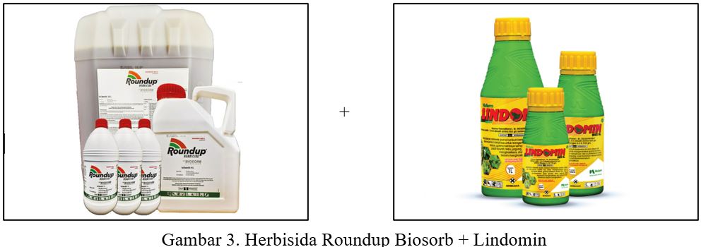 Panduan Lengkap: Strategi Panen Padi Melimpah - Nufarm Indonesia