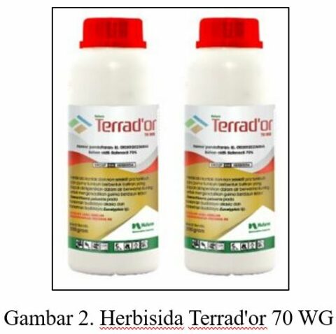 Cepat & Kuat kendalaikan Gulma Pakis - Nufarm Indonesia