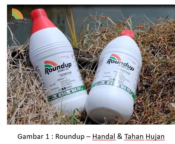 Roundup Berkontribusi Selama 50 Tahun untuk Dunia yang Berkelanjutan ...