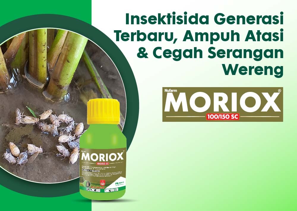 Insektisida Generasi Baru Moriox 100/150 SC - Nufarm Indonesia