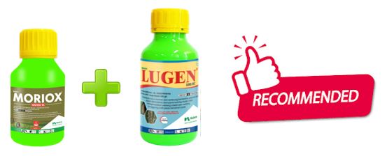 Insektisida Generasi Baru Moriox 100/150 SC - Nufarm Indonesia