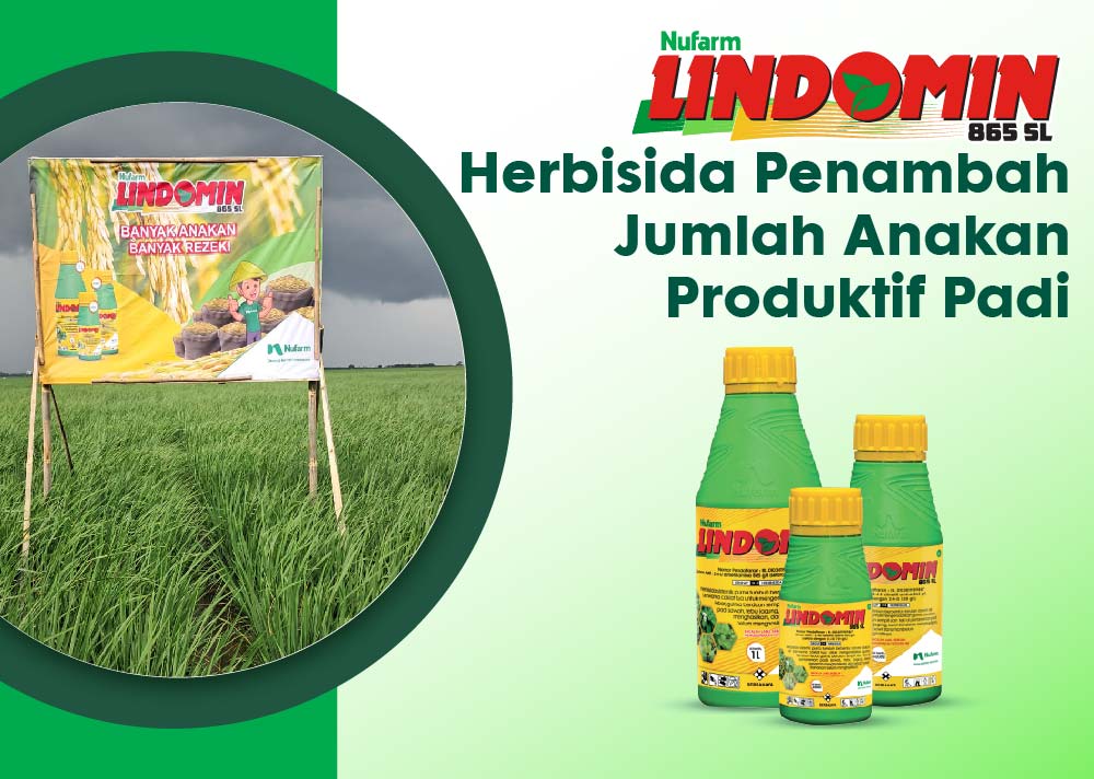 Herbisida Penambah Jumlah Anakan Produktif Padi - Nufarm Indonesia