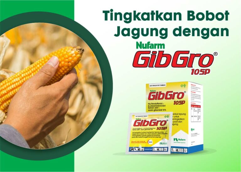 Insektisida Generasi Baru Moriox 100/150 SC - Nufarm Indonesia