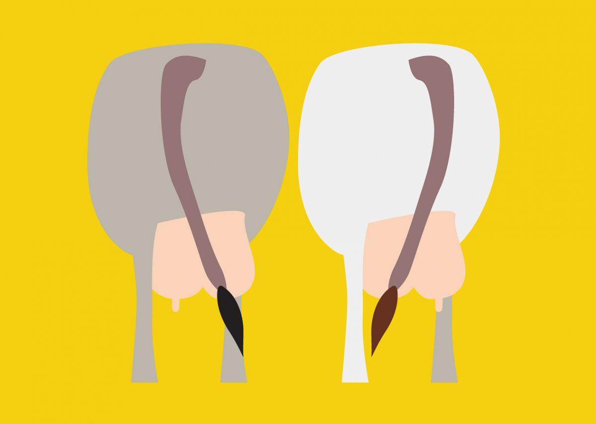 Our Products - Nufarm Australia