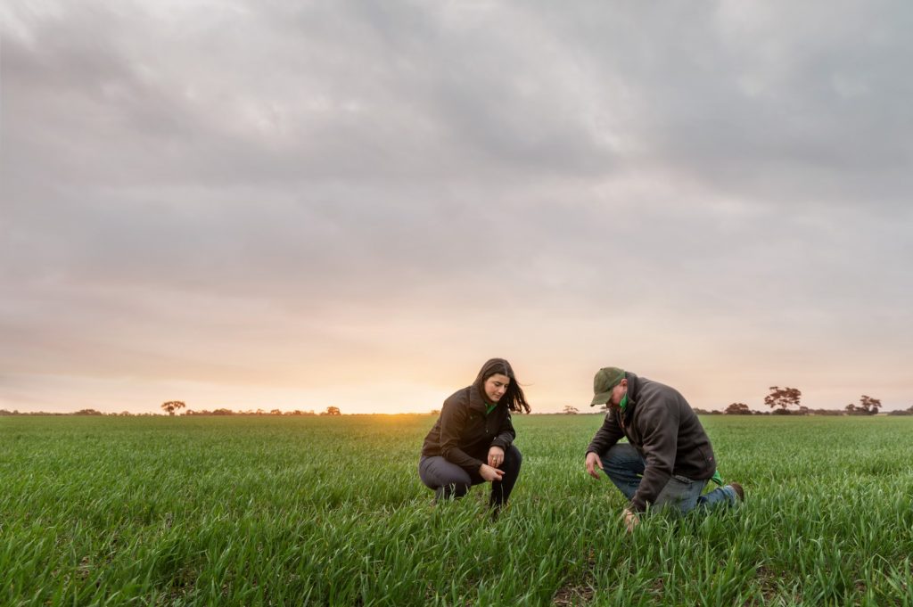 Sugar Solutions - Nufarm Australia