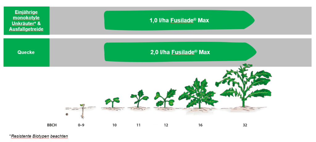 Nufarm Deutschland: Fusilade Max® - Produkte