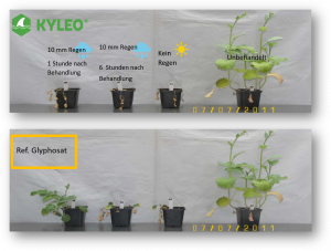 Nufarm Deutschland: Kyleo® - Das Herbizid mit Biss