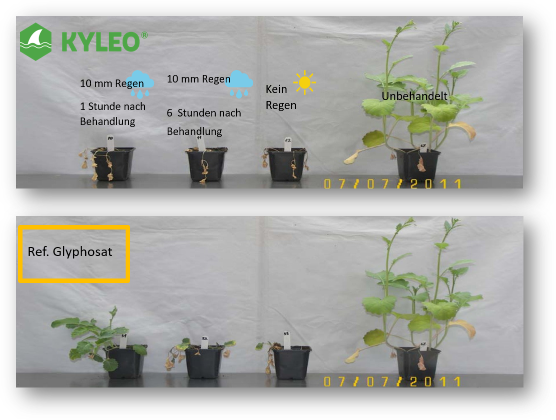 Nufarm Deutschland: Kyleo® - Das Herbizid mit Biss