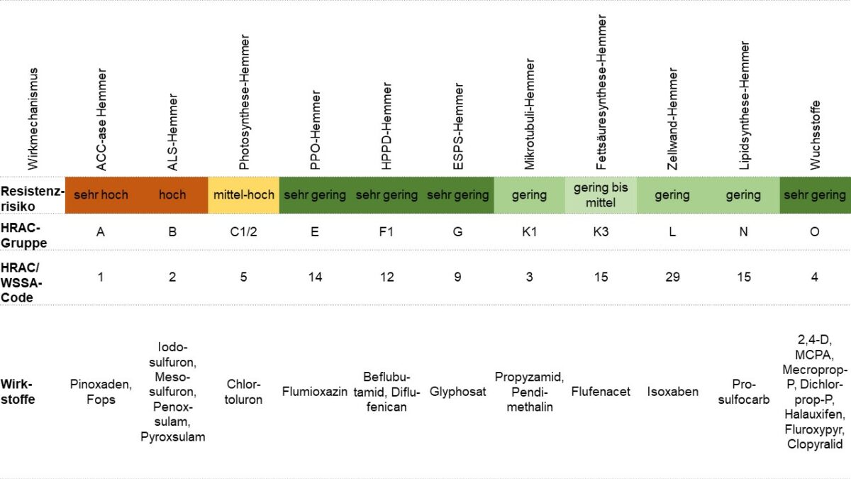 Breite Verunkrautung im Getreide bekämpfen - Nufarm Deutschland