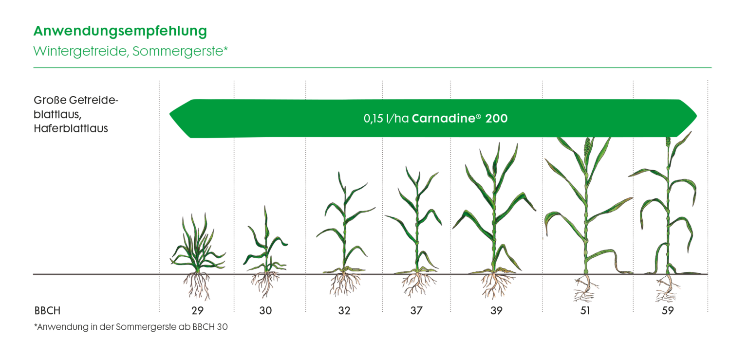 Carnadine® 200 - Insektizid - Nufarm Deutschland