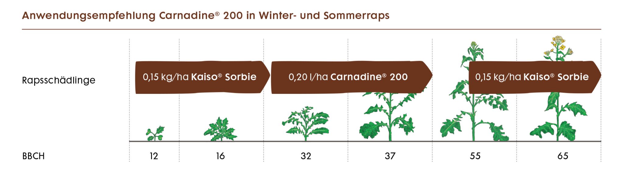 Carnadine® 200 - Insektizid - Nufarm Deutschland
