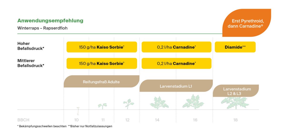 Carnadine® - Insektizid - Nufarm Deutschland