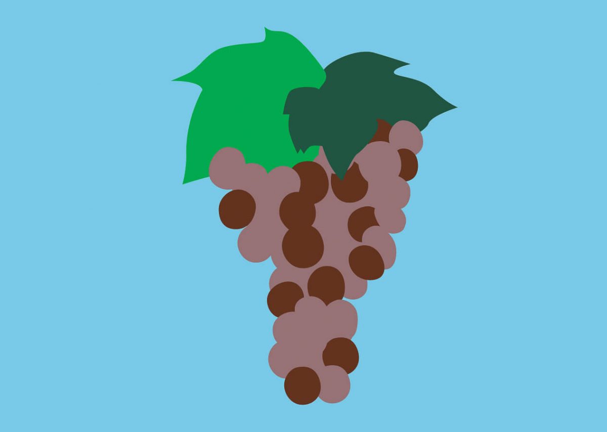 Flordimex 480 SL - Nufarm Poland