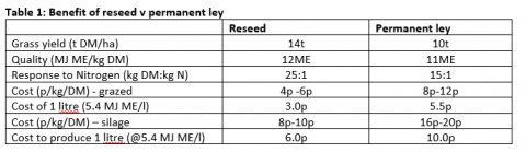 Effective Weed Control for ROI on Re-seeding - Nufarm UK
