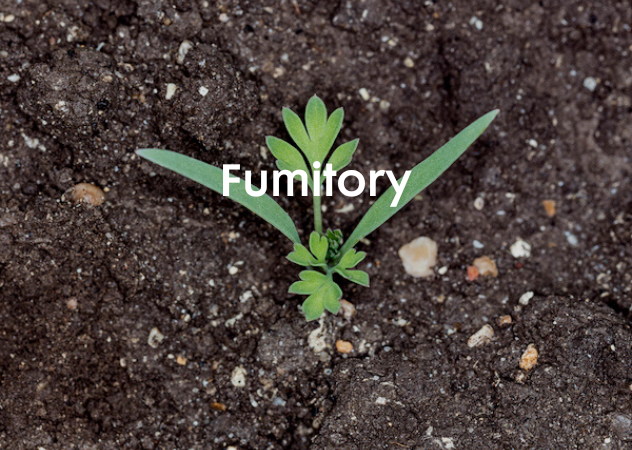 Weed Guide - Nufarm UK