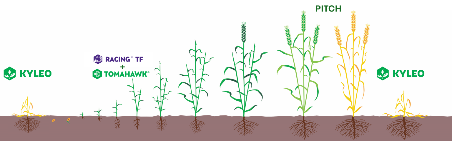 Volunteer Potato Control - Nufarm UK
