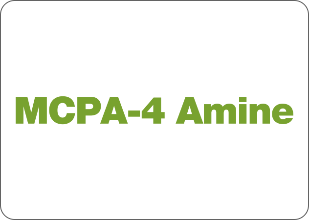 MCPA-4 Amine - US - Crop
