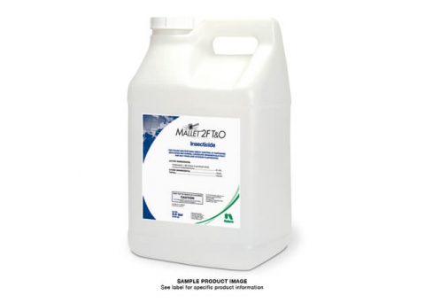 Mallet® 2F T&O - US - Crop