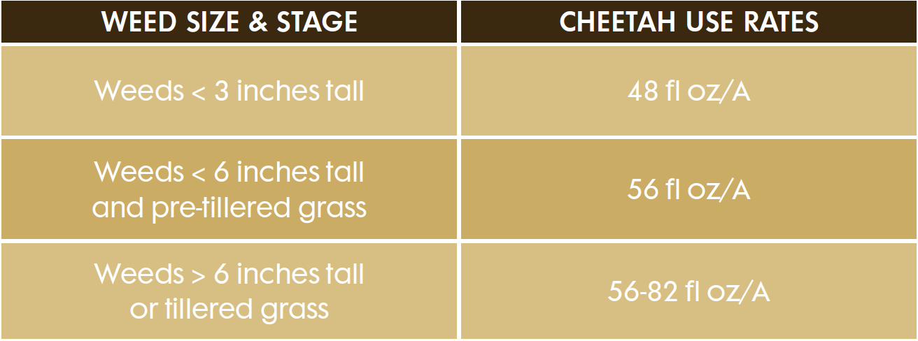 Cheetah® - US - Crop