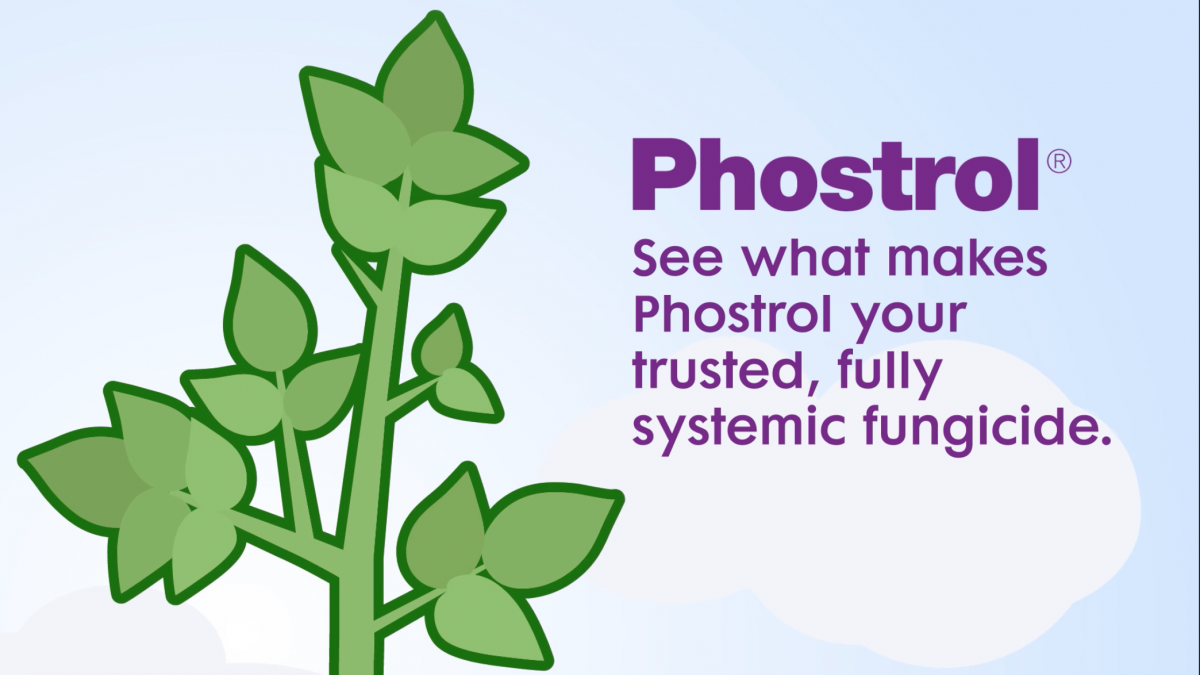 Resources - US - Crop